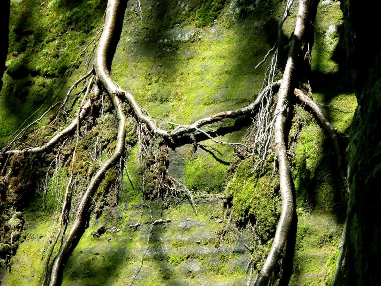 Cultivating A Relationship With Deities | Cultivating A Relationship ...