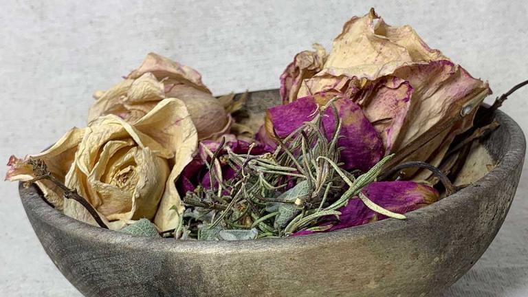 Druid In The City: Offerings Without Spending | Druid In The City ...