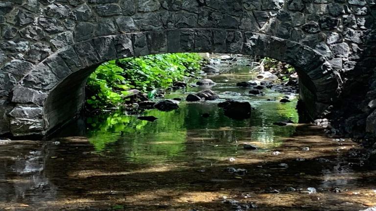 Druid In The City: Where’s The Water? | Druid In The City: Where’s The ...