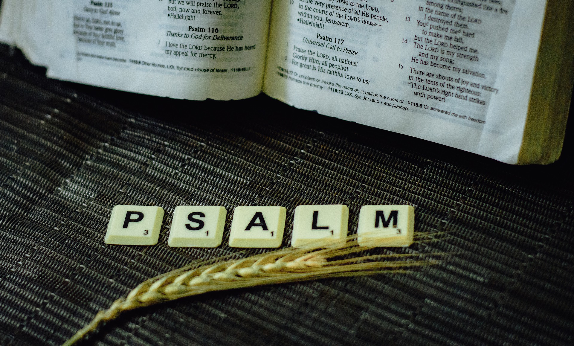 Psalm 1 1 And The Meaning Of Blessed A Word Study William Hemsworth