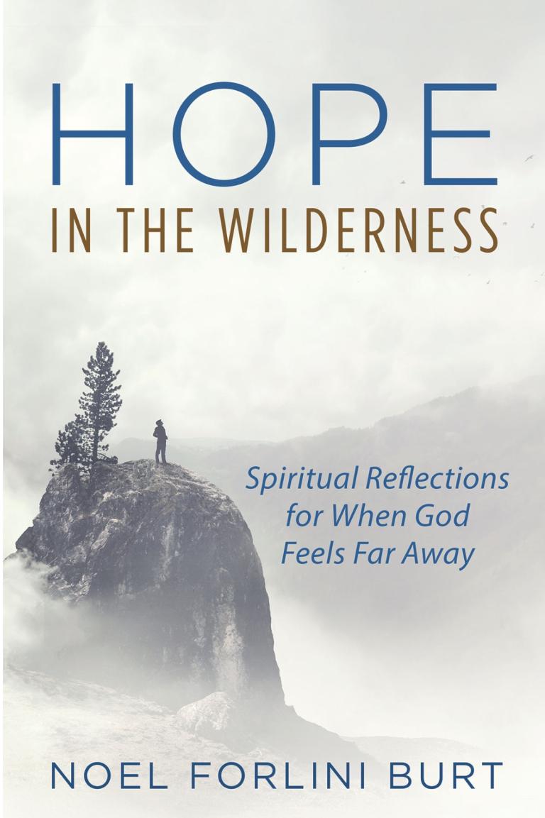 Hope In The Wilderness: Spiritual Reflections For When God Feels Far ...