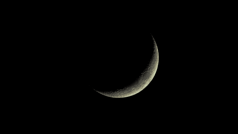 What The New Moon Means For You- August 2019 | Jessica Jascha