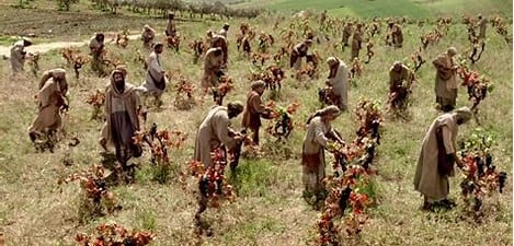 Laborers In The Vineyard Of The Lord | Mark Wilson