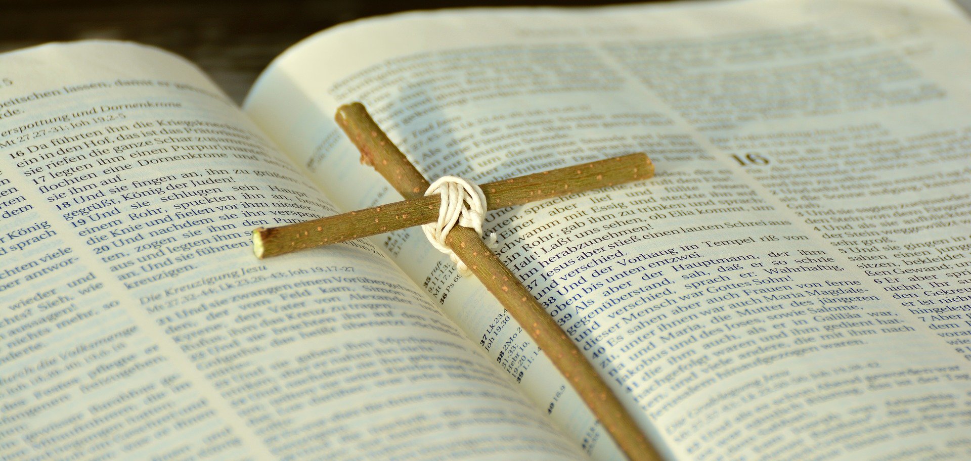 Christ Jesus Our Hope (and Our Great Disruptor) | Chris Walker