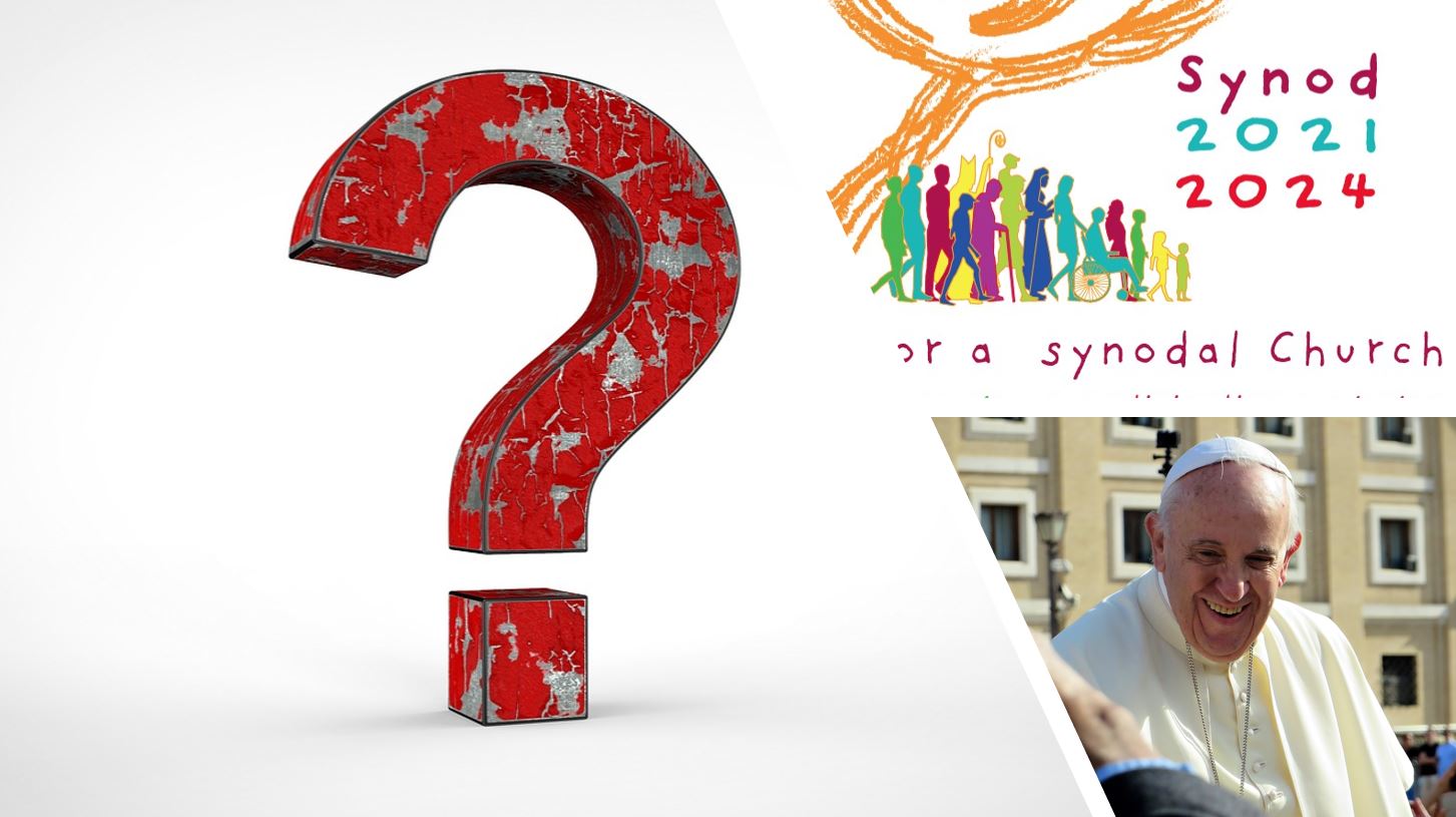 The Synod Begins With Dubia Wars And Mass Media Confusion. What Next ...