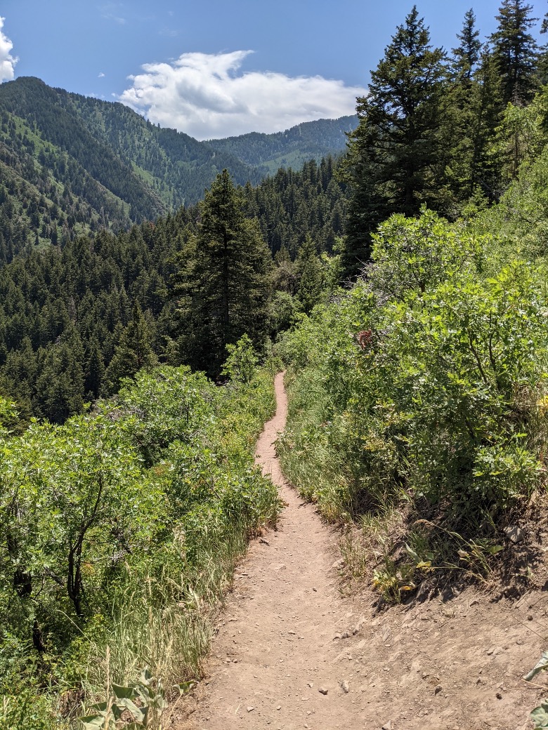 A Contrast: God’s Faithful Love And Human Leadership | My Journey