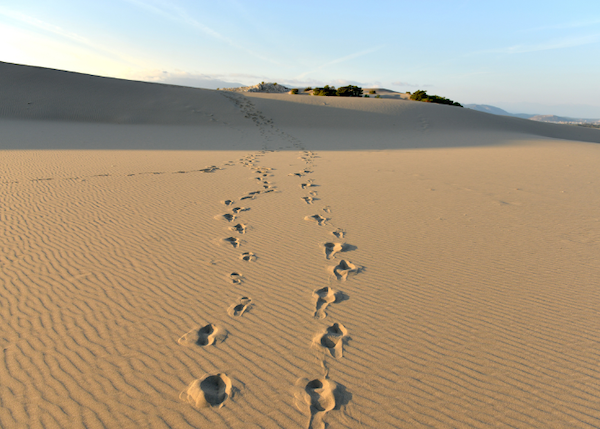 I Will Never Leave You Nor Forsake You: What Deuteronomy 31:6 Really ...