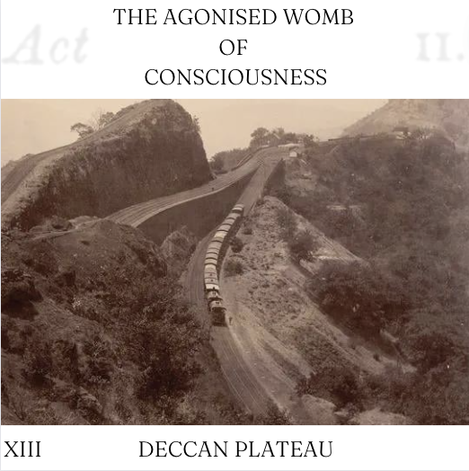 Deccan Plateau | Shawn Higgins