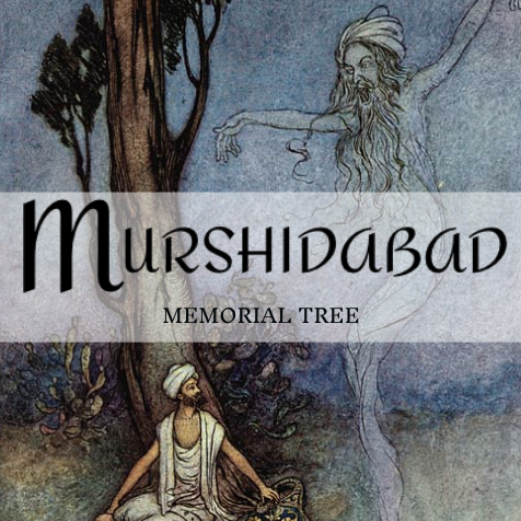 Memorial Tree | Shawn Higgins