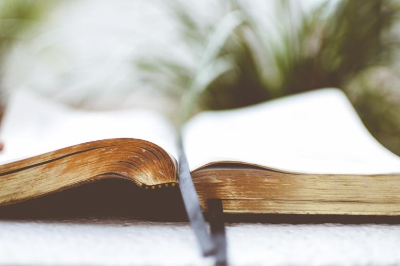 God, Questions, Faith, And Thinking | Layne Wallace