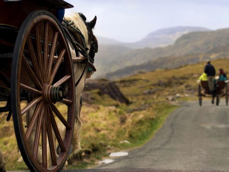 Who Holds The Reins To Your Emotional Wagon? | Who's Holding The Reins ...