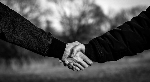 How We Learn To Live Peaceably | Michele Howe