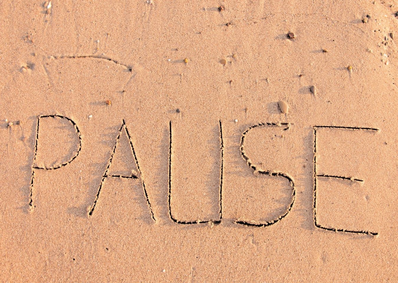 How Mary And The Good Samaritan Teach Us To Press Pause | Sarah Forti