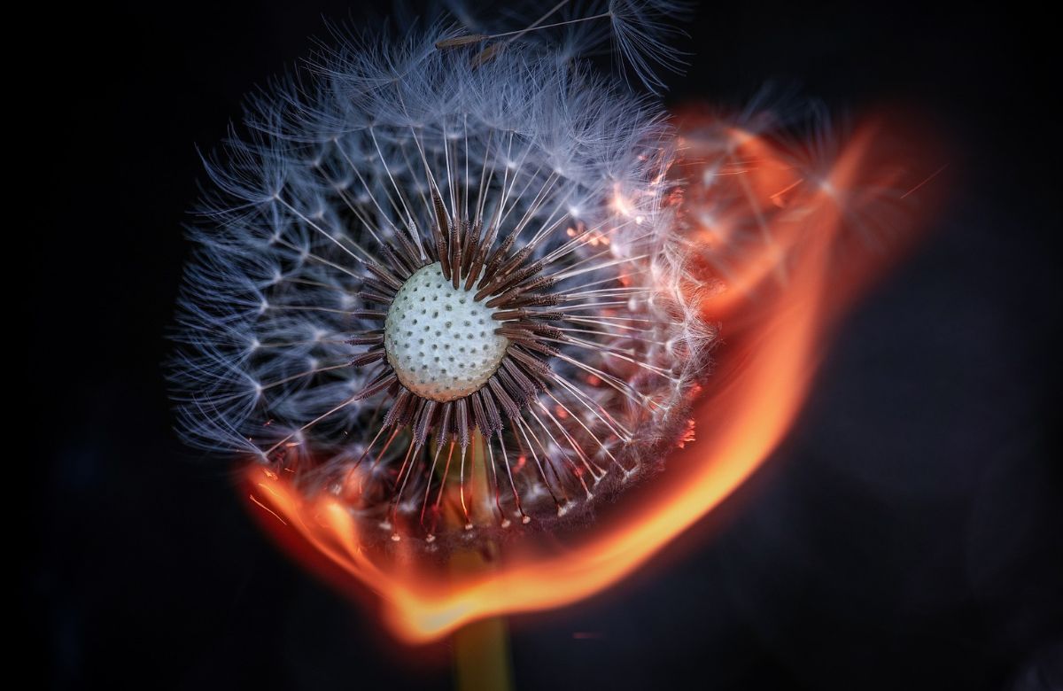 When The World Fogs Your Lens Dust Them Off With The Spirit | Kathy King