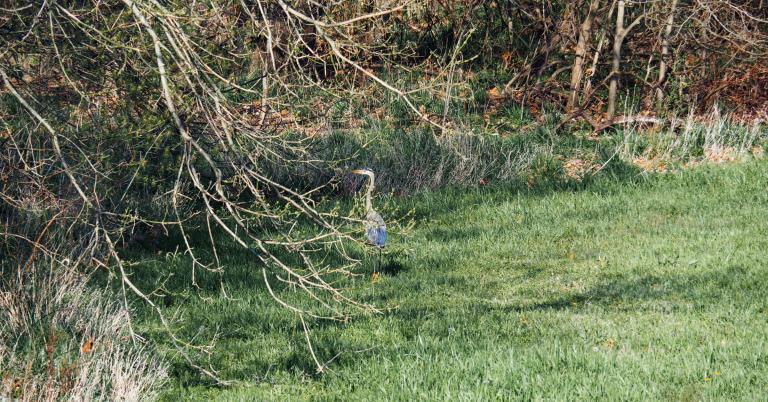 Where Would You Live, If You Could Live Anywhere? | John Beckett