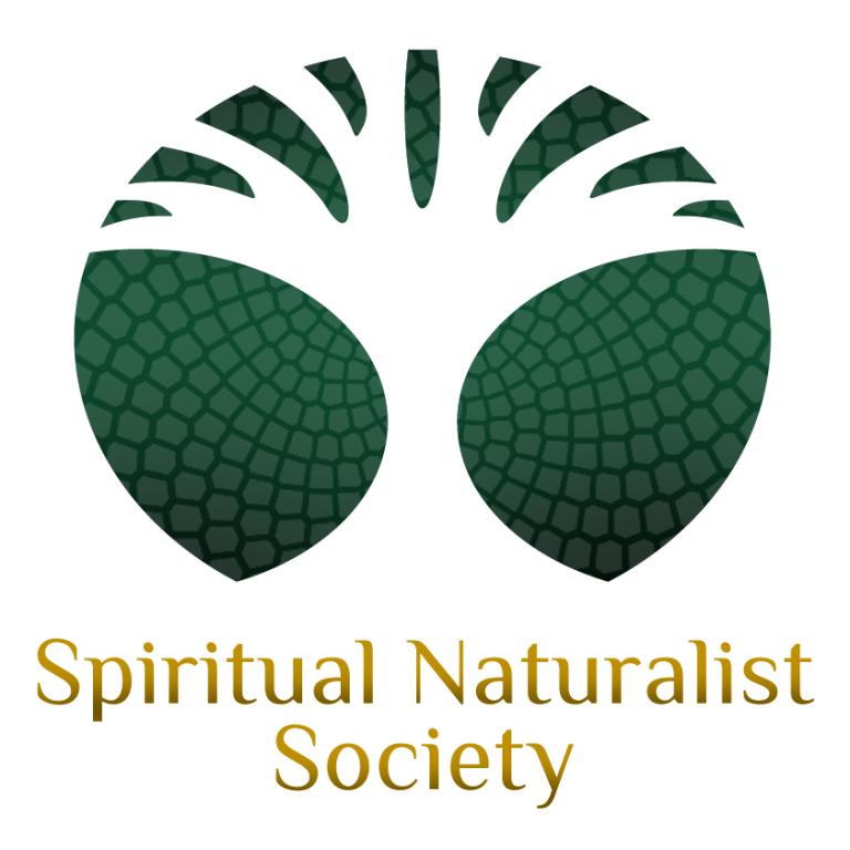 The Spider As A Spiritual Symbol | Spiritual Naturalist Society