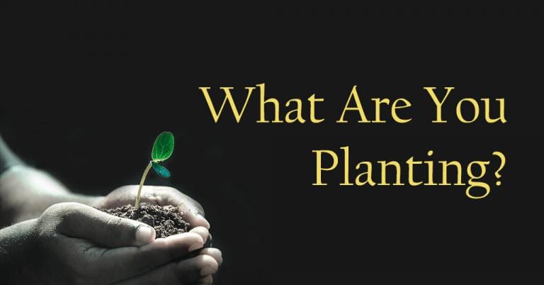 Ostara: What Are You Planting? | Katrina Rasbold