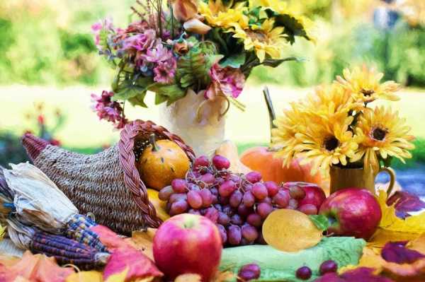 A Witch Gives Thanks On Thanksgiving | Gwion Raven