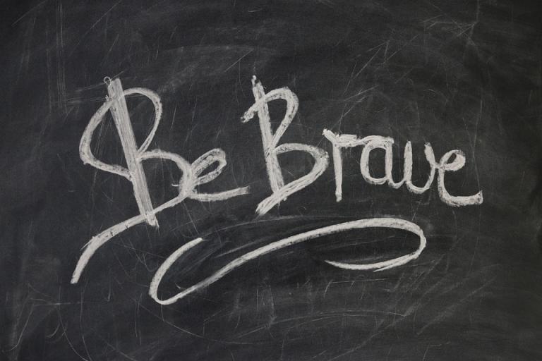 Brave | Amy Butler
