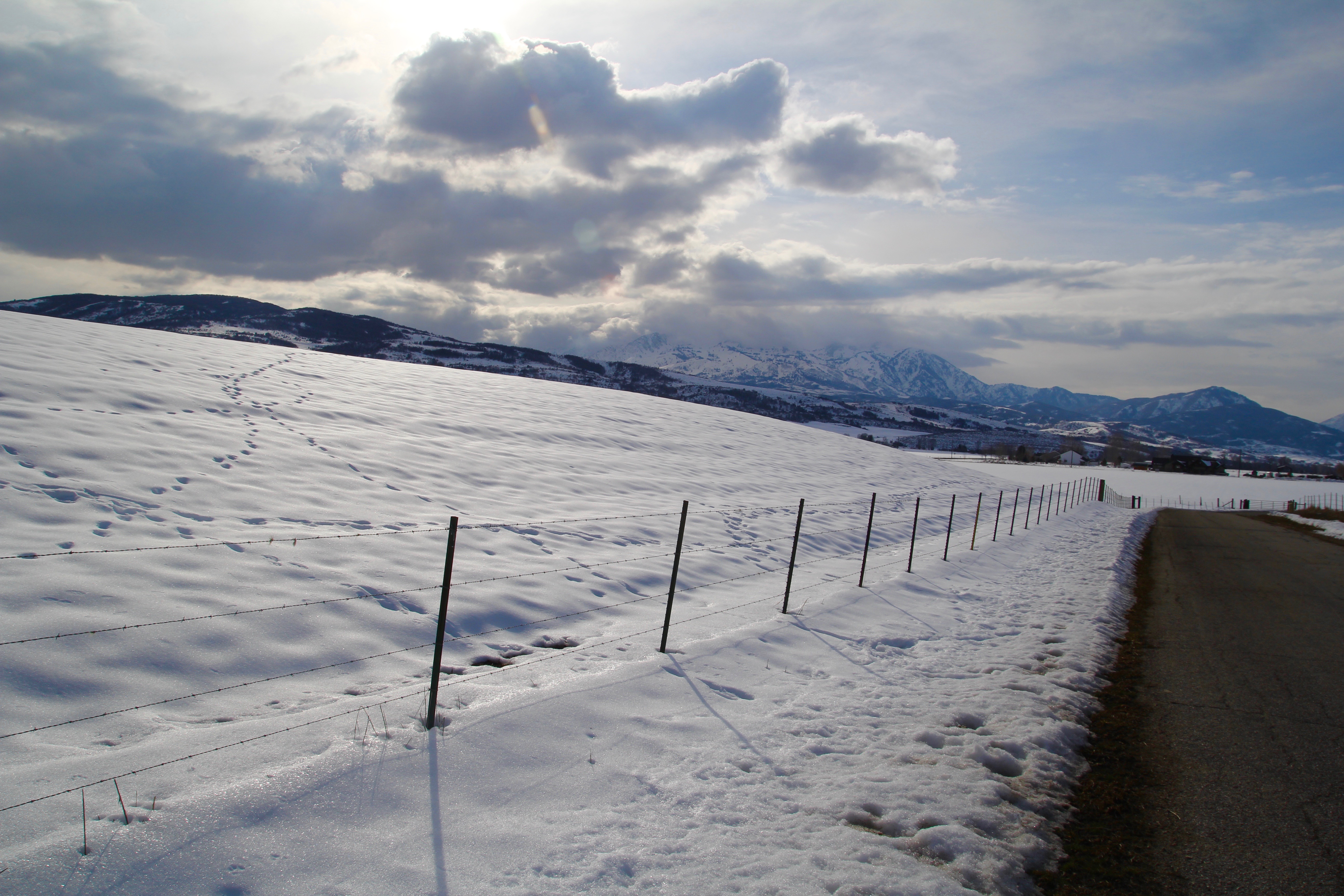 An Advent Encounter | Christopher Johnson