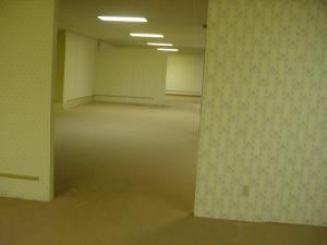 Backrooms: The Kids Do Silent Cinema | Chase Padusniak