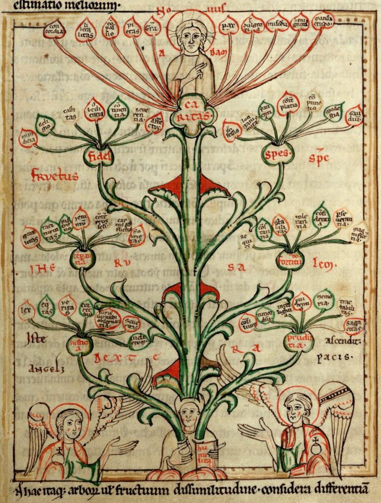 Faith And The Hierarchy Of Truth And Virtue | Henry Karlson