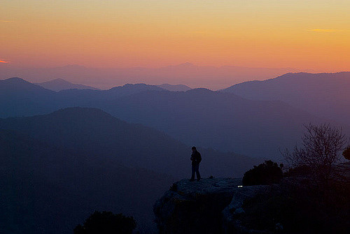 The Four Immeasurable Minds | Daniel Scharpenburg