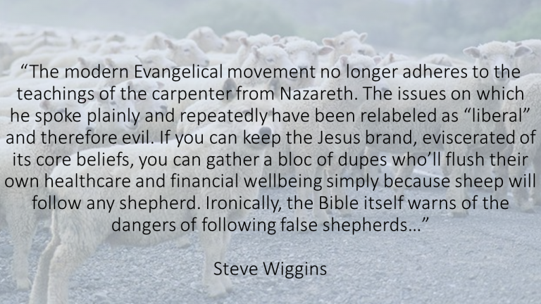 False Shepherds | James McGrath