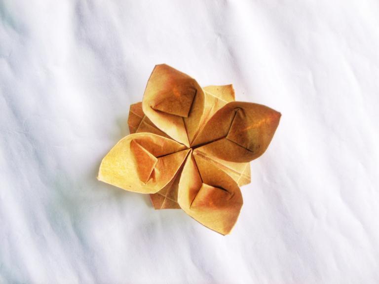 The Origami Of Grief: Unfolding, Refolding, Enfolding | Leah D. Schade