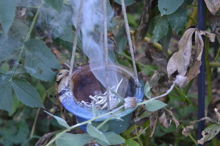 How To Cleanse Magical Items | Astrea Taylor