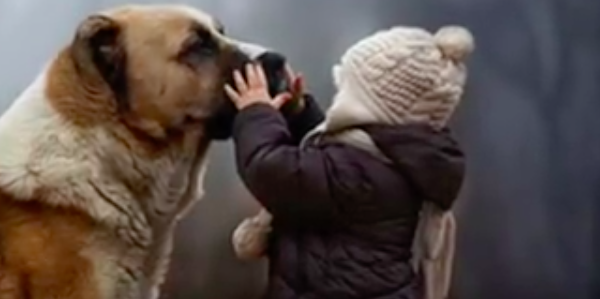 Photo Montage Of The Loving Relationship Between Humans And Their Dogs ...