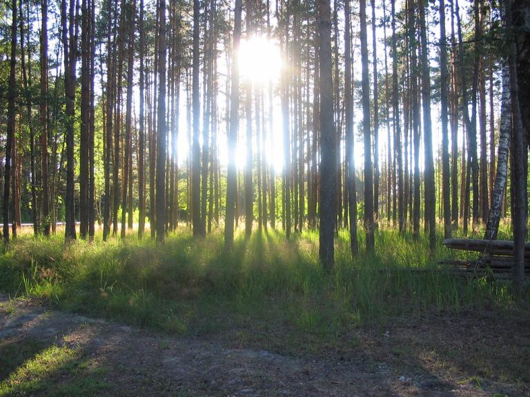 My Pagan View Of The Deities — What God Is And What They Are Not | Ann Trip